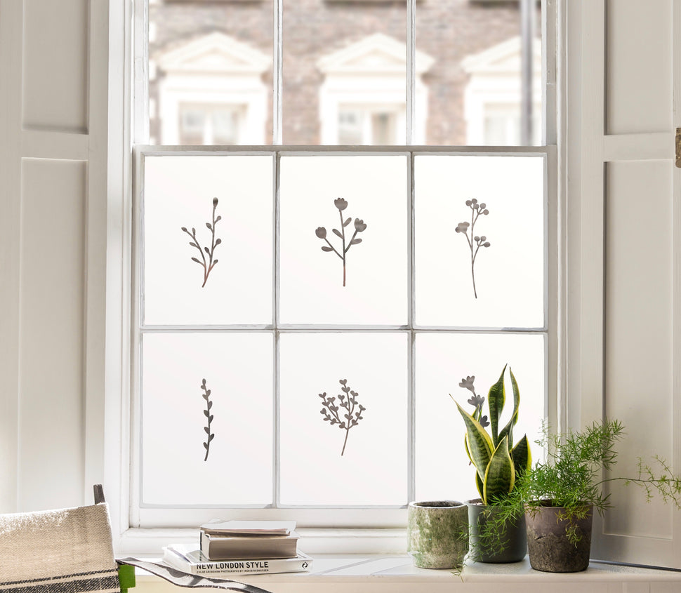 Sprig collection – Brume window film