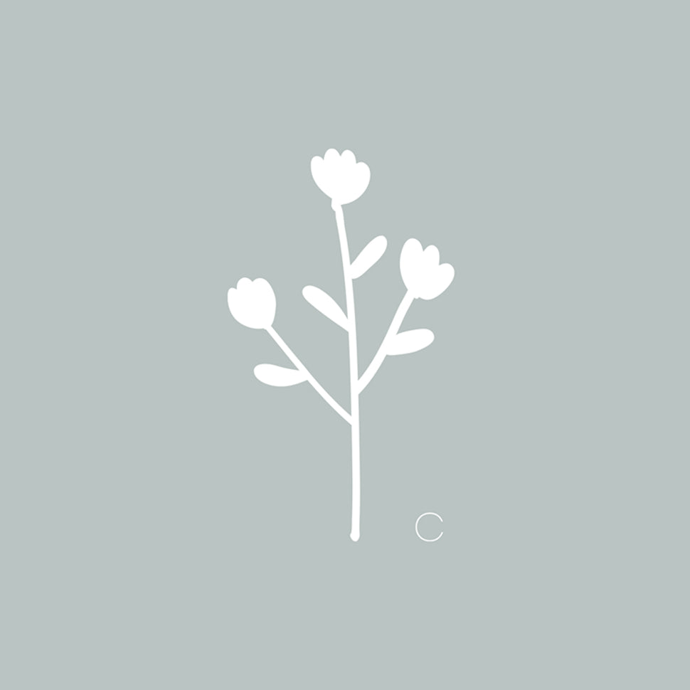 Sprig collection – Brume window film